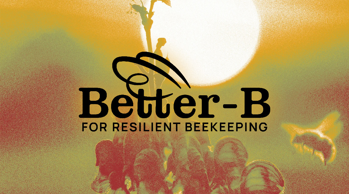 News | Better-B project